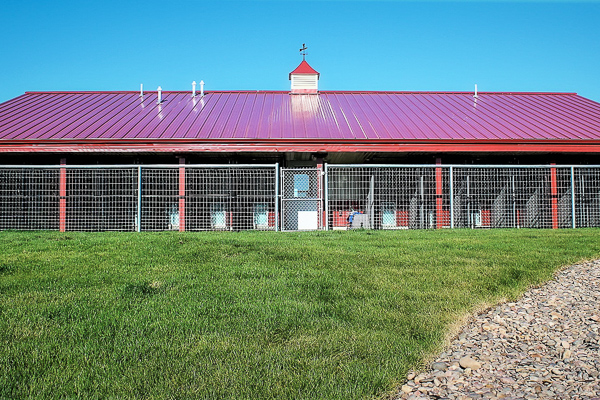 Love Pets? Start an Animal Boarding Facility in a Pole Barn